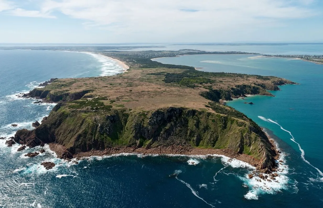 Phillip Island Flora & Fauna | Naturalist’s Guide